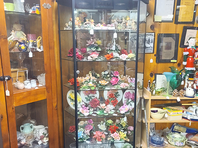 A glass cabinet housing delicate floral treasures. Each shelf a garden that never needs watering, preserved behind glass for admirers to discover.