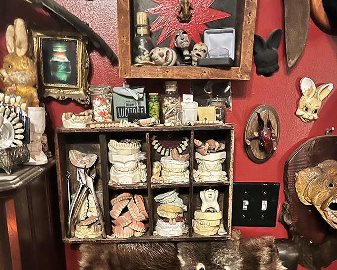 A collection of dental molds and dentures grins back at visitors, arranged like a peculiar art installation of forgotten smiles.