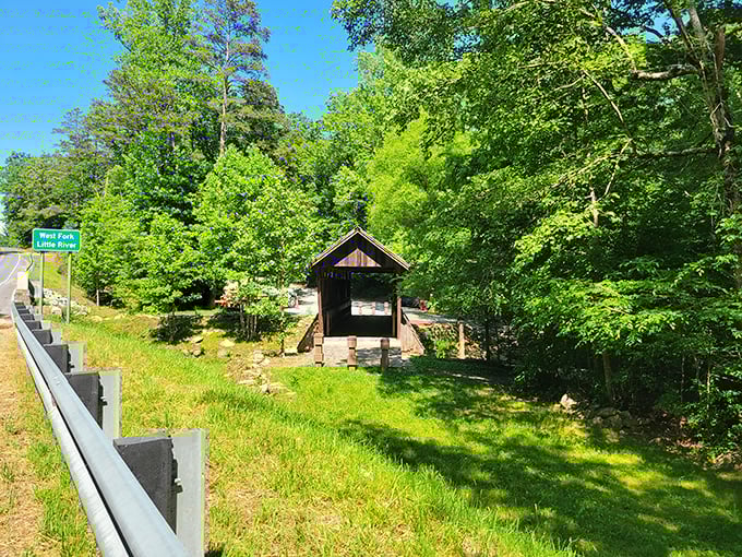 Glimpsed from the roadside, the bridge beckons travelers to take that unplanned detour. Some of life's best discoveries happen when we follow that curiosity.