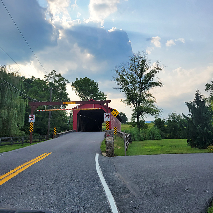 Approaching the bridge on a summer evening creates silhouettes that belong on postcards or possibly romantic comedy posters.