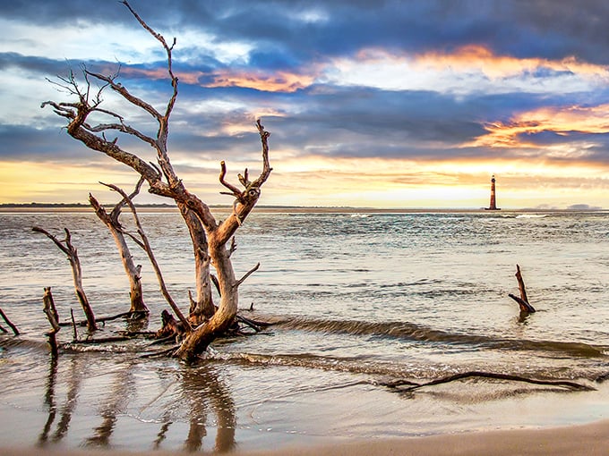 Driftwood and dramatic skies create nature's perfect frame for this resilient tower that refuses to be forgotten.
