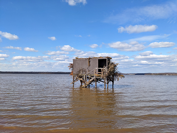 This weathered structure stands like a sentinel in the water, a reminder that humans and nature have been negotiating their relationship here for generations.