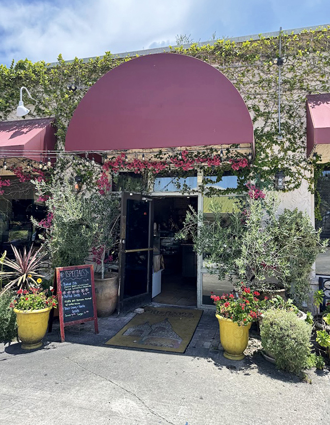 An entrance that transports you straight to the Mediterranean. Those potted plants aren't just decoration; they're your first taste of what's inside.