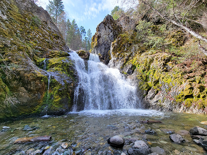 The summer sun transforms the mist into a sparkling cloud &ndash; nature's own special effects department working overtime.