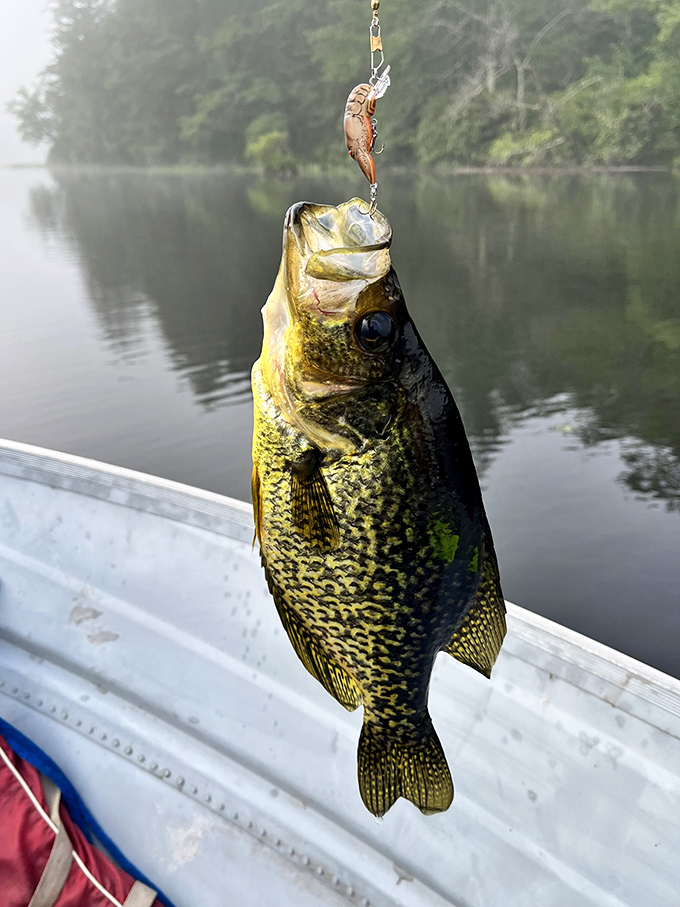 The catch of the day – a reminder that patience sometimes rewards you with dinner and a story to tell.