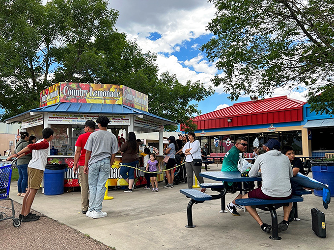 Country lemonade stands and food kiosks create the market's social hub, where the universal language of "I'm hungry" transcends all bargaining differences.