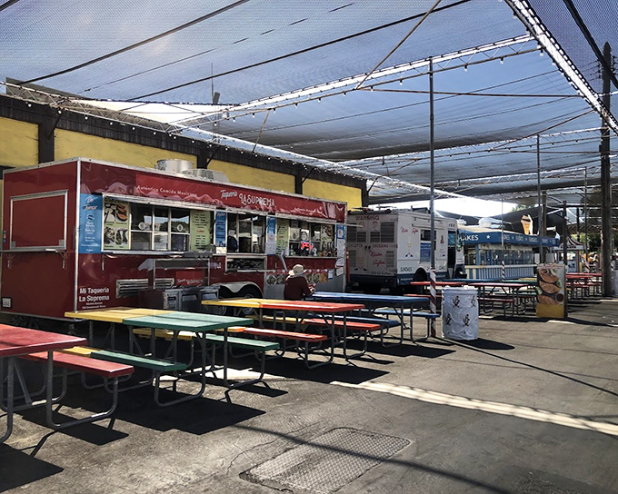 Street food central where culinary adventures await. These food trucks serve up authentic flavors that make chain restaurants seem like bland impostors.