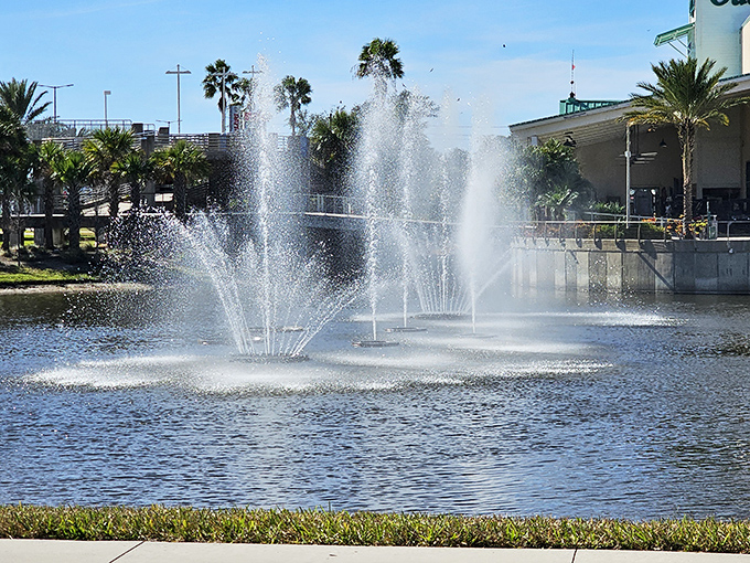 Dancing fountains create a mesmerizing water ballet against a backdrop of palm trees. Nature's air conditioning in the Florida heat.