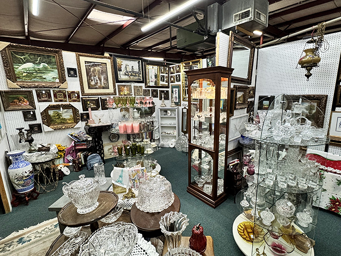 Framed butterflies creating wall art that's equal parts science museum and sophisticated home decor statement piece.