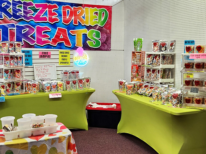 Sweet innovation! These freeze-dried treats transform familiar favorites into crunchy, shelf-stable delights that make traditional candy seem downright boring.