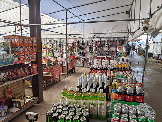 A convenience store mirage in the desert market&mdash;where everyday necessities sit alongside impulse purchases waiting to happen.