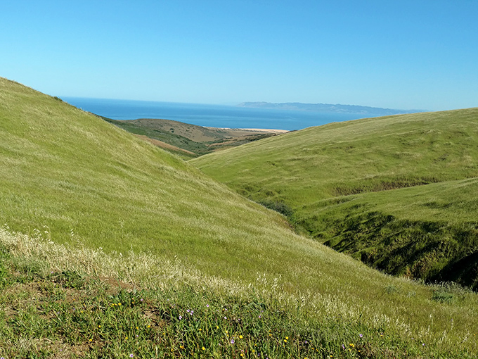 Rolling hills that would make a Windows desktop background jealous—the approach to Point Sal offers views worth every drop of hiking sweat.