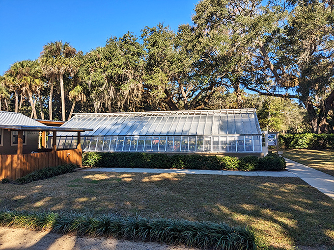 The greenhouse stands like a crystal palace, protecting botanical treasures that would make any plant collector swoon.