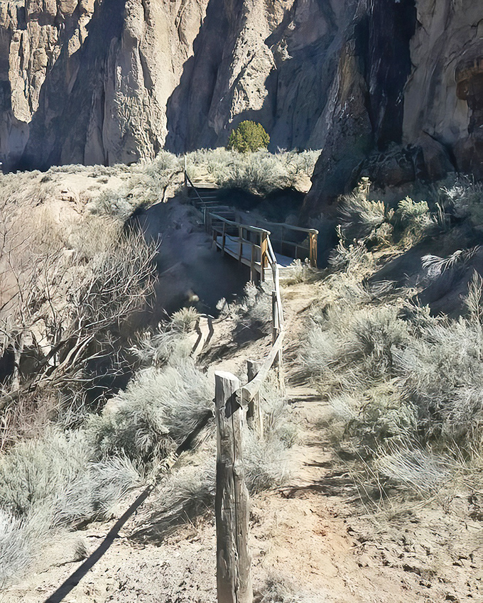 A trail that promises adventure with every bend, where wooden steps lead you deeper into a landscape that feels both ancient and timeless.