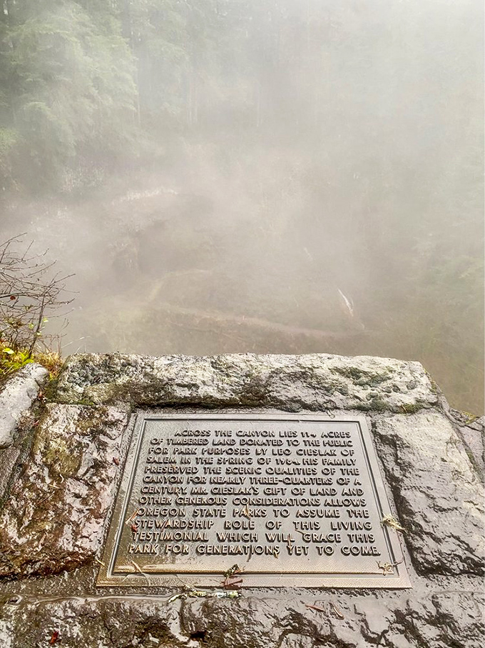 A historical plaque shrouded in mist tells the story of conservation efforts, proving that good deeds sometimes do get the dramatic backdrop they deserve.