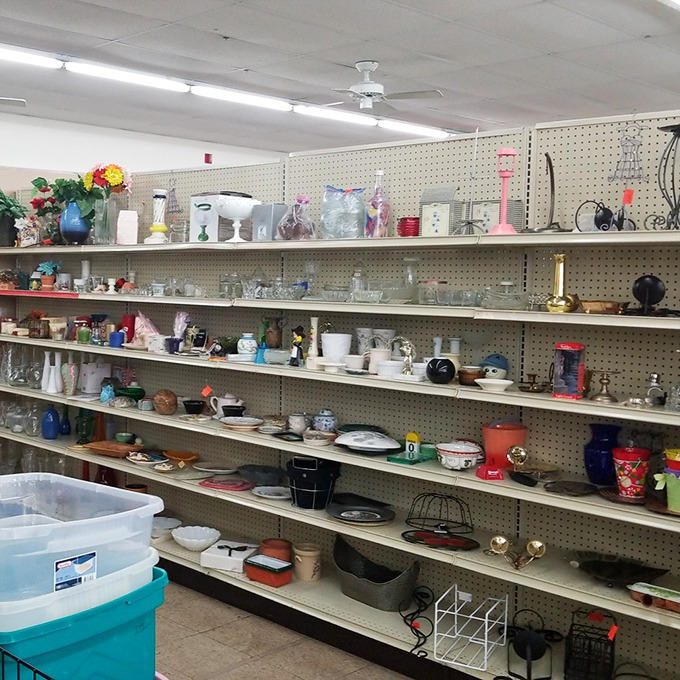 Housewares galore! From vases to kitchen gadgets, these shelves hold the missing pieces to your domestic puzzle.