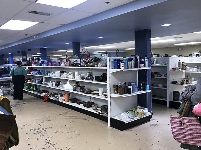 The housewares section offers a mismatched wonderland of domestic artifacts, each shelf a museum exhibit of American home life through the decades.