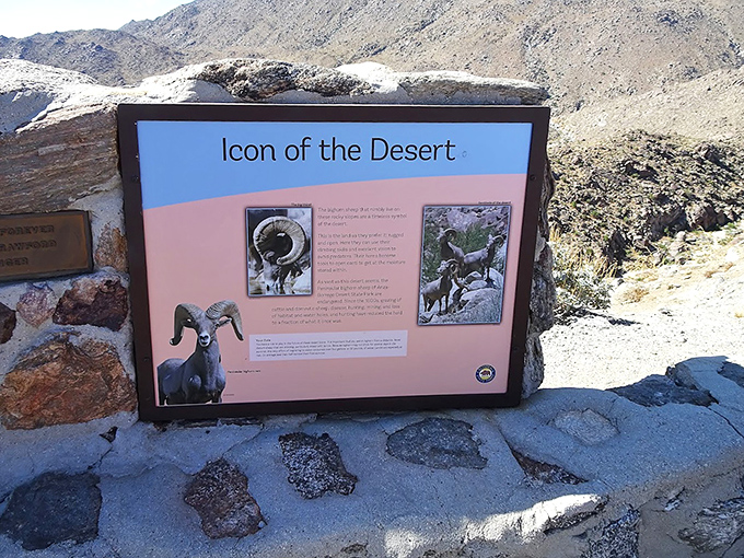 Educational signage offers insights into desert wildlife, connecting art with the natural history of this unique California ecosystem.