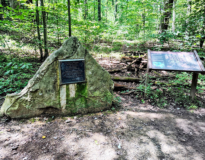 Park information boards help visitors navigate this natural wonderland like having a knowledgeable friend.