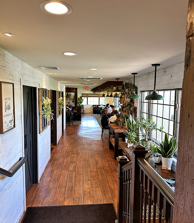 Sunlight streams through windows onto wooden floors that have carried countless servers delivering happiness on plates for generations.