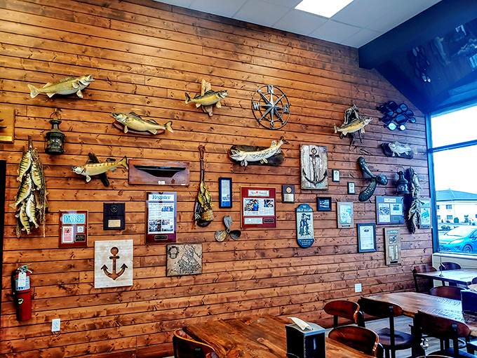 That wood-paneled wall isn't just decor&mdash;it's a maritime museum celebrating Lake Erie's bounty. Each mounted fish tells a story of local pride.