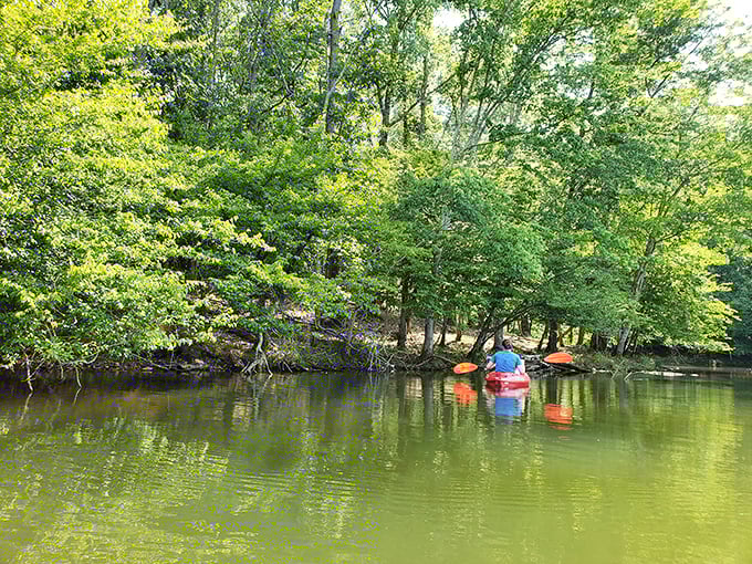 Kayaks adding splashes of color to nature's canvas&mdash;like mobile art installations that occasionally tip over to everyone's amusement.