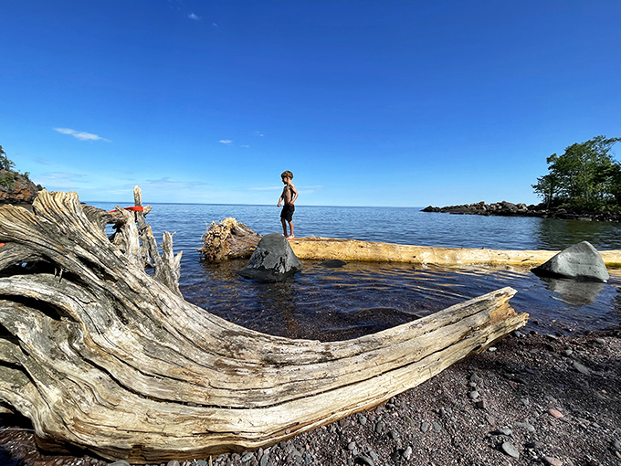Driftwood sculptures courtesy of Lake Superior's artistic touch. Nature's playground where imagination flows as freely as the waves.