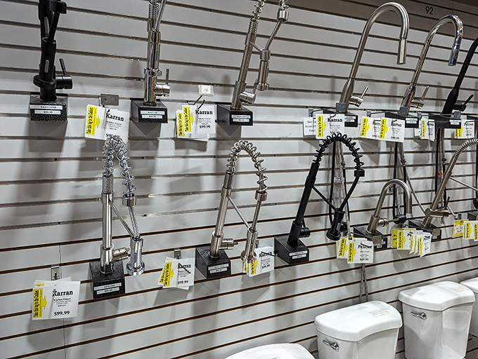 Faucet fantasy land where kitchen and bathroom dreams take shape. The elegant curves of those fixtures promise luxury upgrades at prices that won't drain your savings.