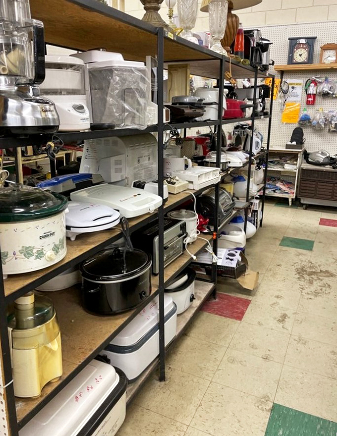 Kitchen appliance purgatory: where bread machines and slow cookers wait for resurrection, their cords coiled like sleeping snakes on wooden shelves.