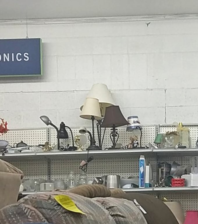 Random lamps huddle together hoping someone sees their potential to illuminate a reading nook or brighten a forgotten corner at home.