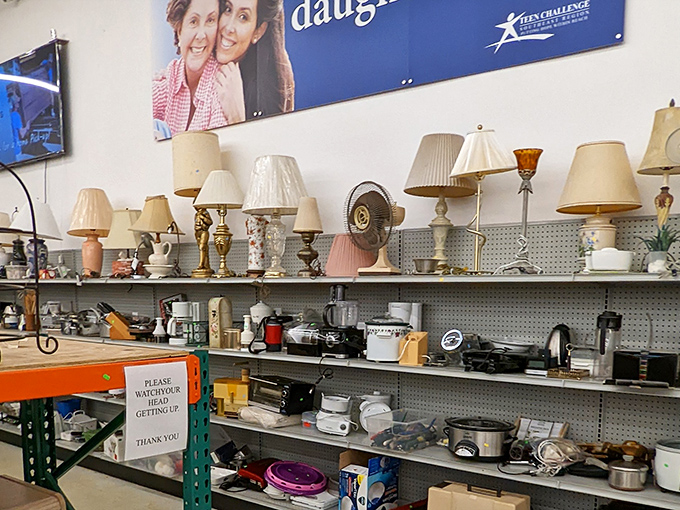 The lamp section glows with potential. That perfect reading light exists somewhere between "grandma chic" and "1970s bachelor pad."