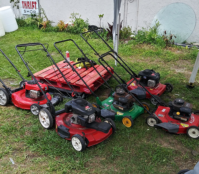 The lawnmower lineup: where suburban dreams of perfect grass meet reality at prices that won't trim your wallet too severely.