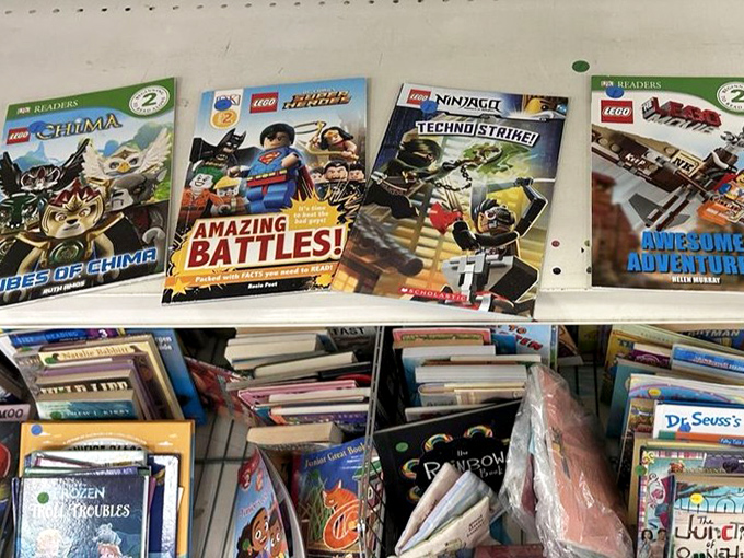 LEGO books teaching tomorrow's architects and today's foot-injury victims the fine art of brick-based construction.