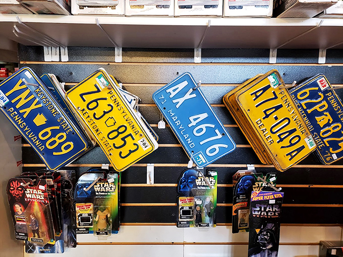 License plates and Star Wars figures&mdash;a perfect snapshot of American obsessions, hanging side by side in nostalgic harmony.