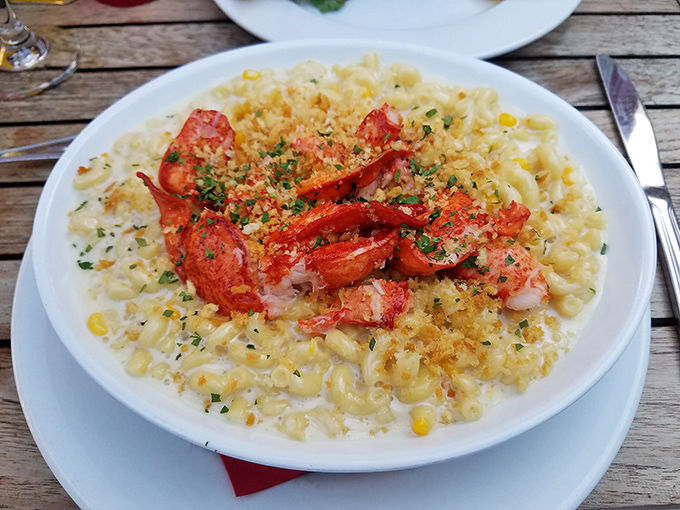 Lobster mac and cheese that's basically what would happen if comfort food won the lottery and decided to get fancy without forgetting its roots.