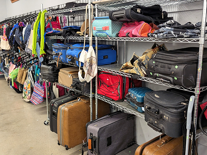 The luggage section: where your next adventure's companion awaits. That vintage suitcase has stories to tell and new journeys to make.