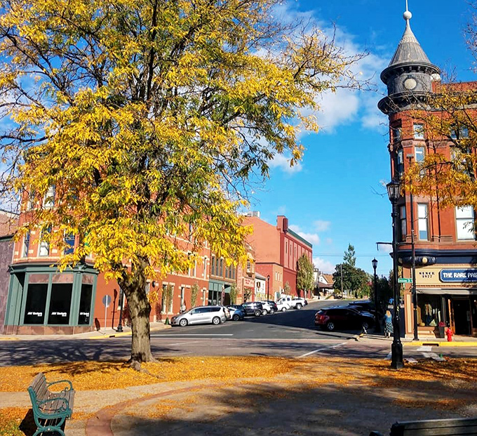 Fall paints Northfield in golden hues, transforming ordinary street corners into scenes worthy of the most discerning Instagram filters.
