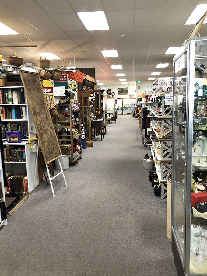 Wide, welcoming aisles invite exploration without the claustrophobia typical of antique stores&mdash;a thoughtful touch for serious browsers and casual visitors alike.