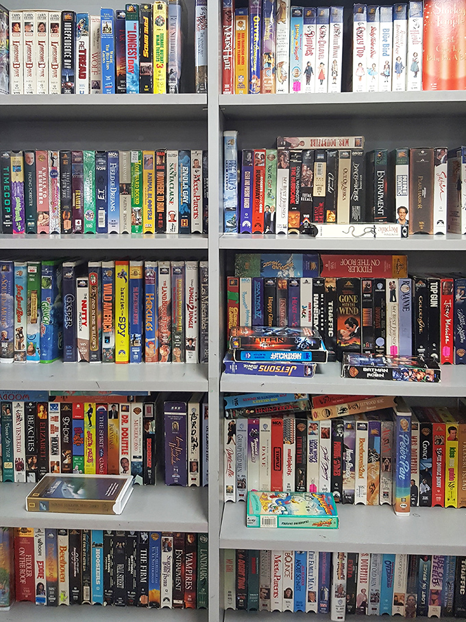 A video library that reads like a timeline of American entertainment&mdash;from "Gone With the Wind" to forgotten 90s sitcoms.