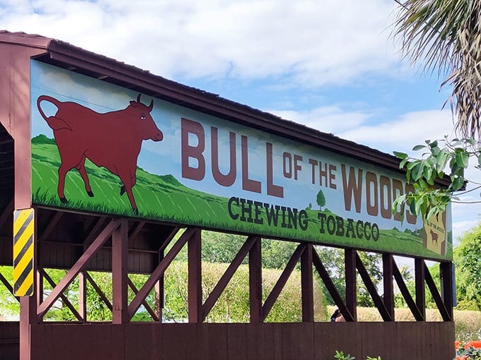 The vibrant "Bull of the Woods" mural pops with primary colors, a playful reminder of vintage Americana that seems delightfully out of place in tropical Florida.