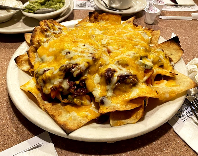 Nachos that require a topographical map to navigate. Layers of cheese, meat, and toppings create a mountain range of Tex-Mex perfection.