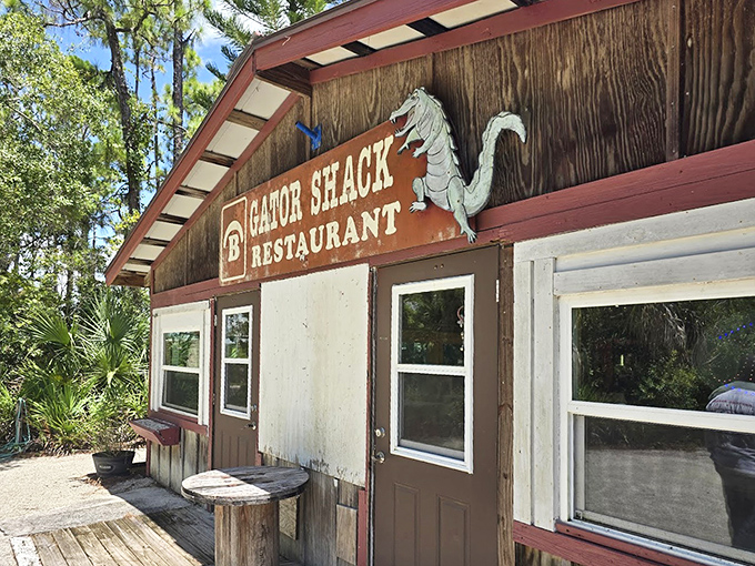 The wooden facade and alligator sign announce without pretense: you've arrived at a genuine piece of Florida's culinary soul.