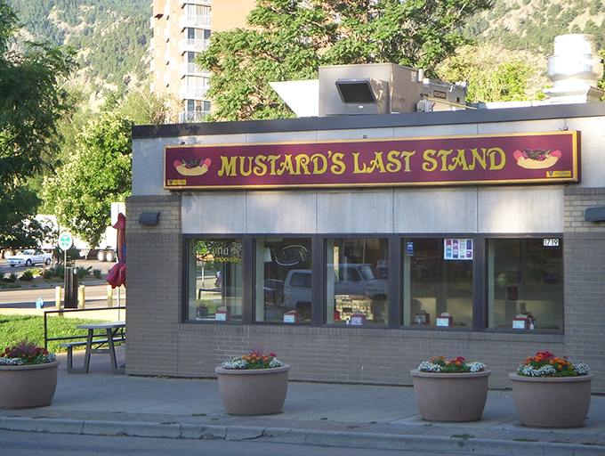 The exterior view reveals Mustard's true character &ndash; unpretentious, welcoming, and perfectly at home against the backdrop of Boulder's mountains.