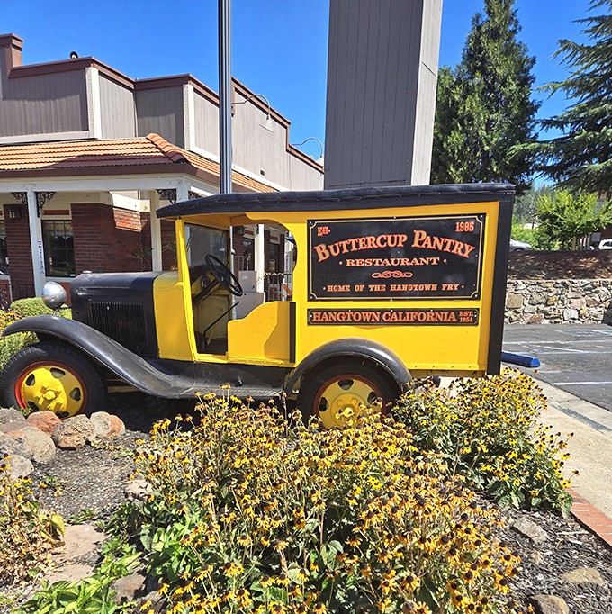 The vintage delivery truck outside serves as both decoration and time machine. Yellow as the buttercups that inspired the name.