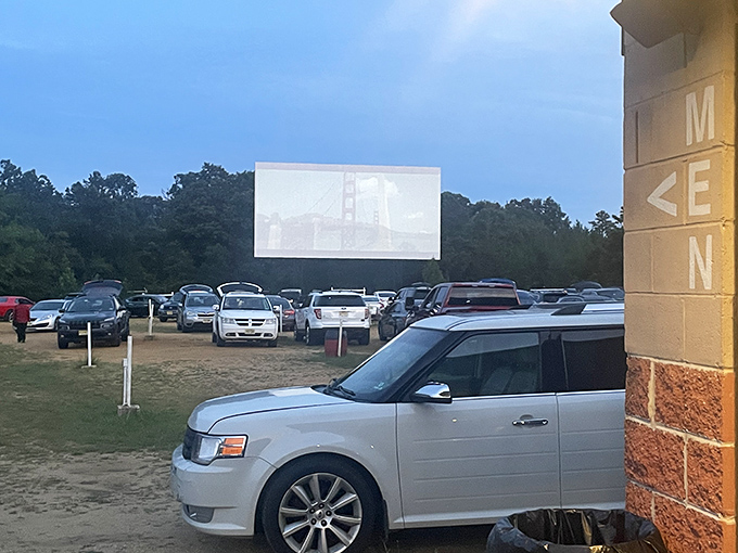 A community of strangers united by storytelling. Each vehicle becomes a private theater with the best view in the house.