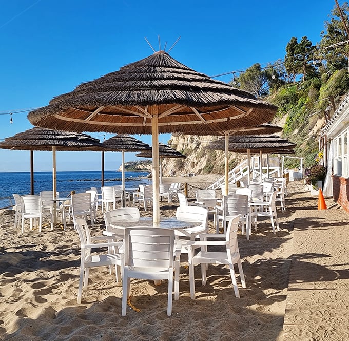 Beach dining that makes five-star restaurants jealous. These umbrella-shaded tables offer million-dollar views that no interior designer could ever replicate.