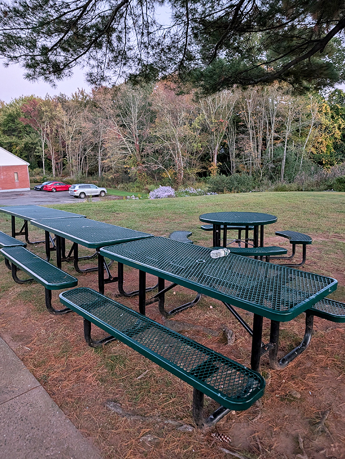 Outdoor picnic tables surrounded by New England foliage. When weather permits, dining al fresco adds another dimension to the Shady Glen experience.
