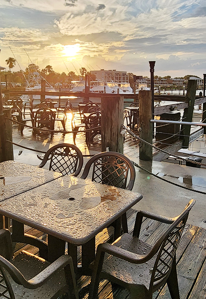 Golden hour transforms the marina deck into a magical dining experience where even the water seems to sparkle in anticipation of dinner.