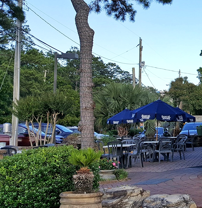 The outdoor seating area&mdash;where ocean breezes complement your meal and palm trees provide nature's own ambiance.