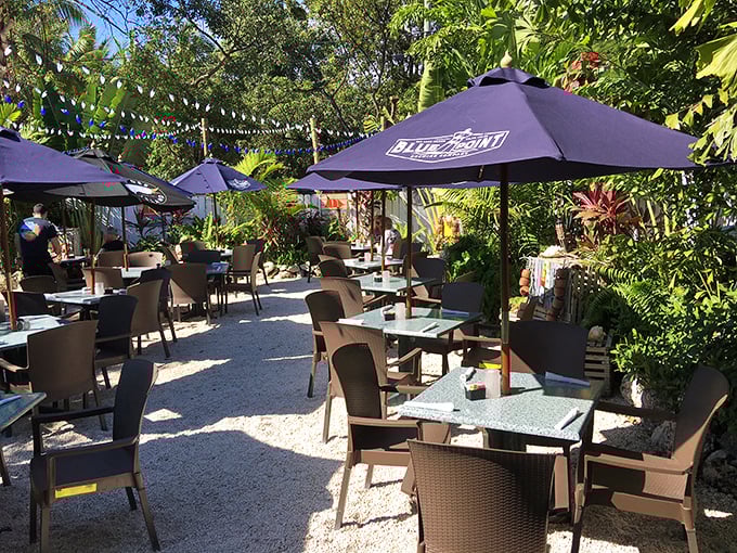 Outdoor dining surrounded by palms&mdash;because seafood tastes better with a side of paradise. Mother Nature's dining room!